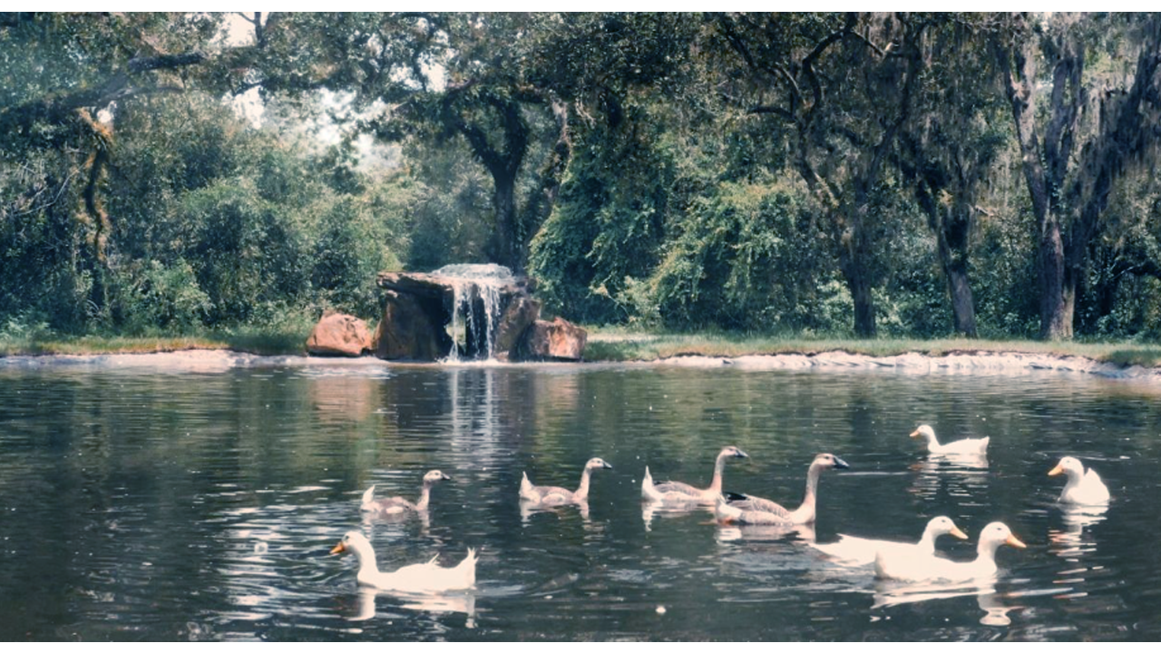 Pond – Outdoor Adventure